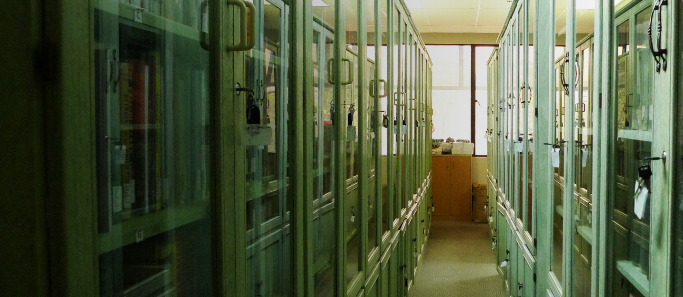 Ortigas Foundation Library